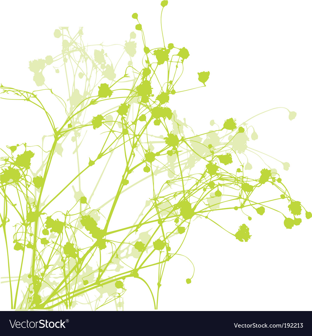 Floral design elements Royalty Free Vector Image