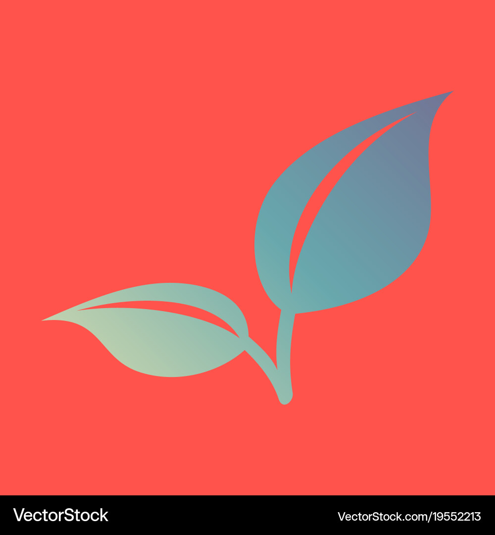 Fresh mint leaf flat menthol healthy aroma herbal Vector Image