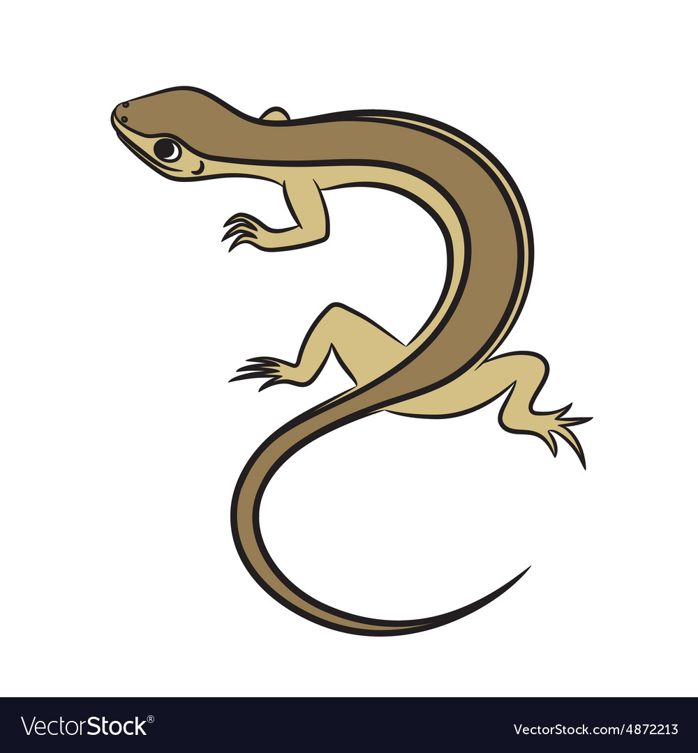 Little lizard Royalty Free Vector Image - VectorStock