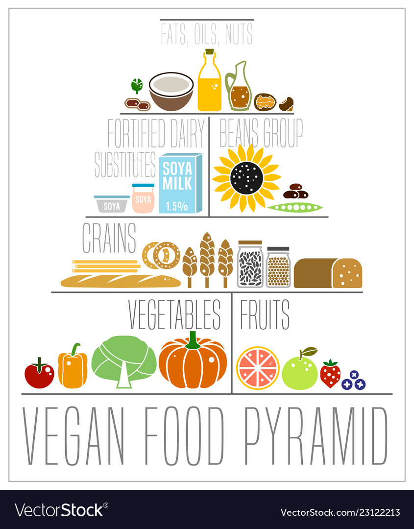 The vegan food pyramid Royalty Free Vector Image