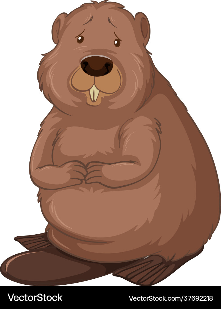 Beaver cartoon character isolated on white Vector Image