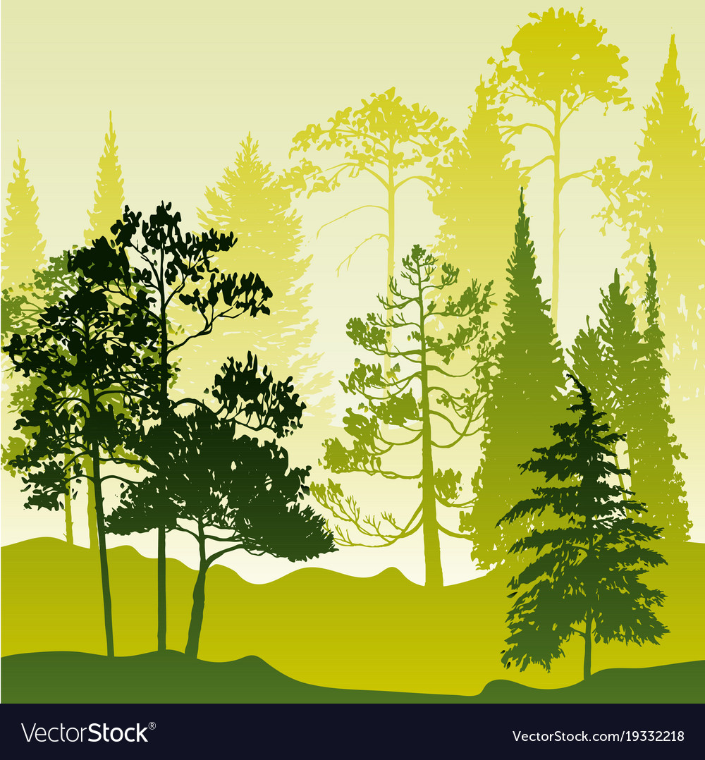 Landscape with pine trees Royalty Free Vector Image