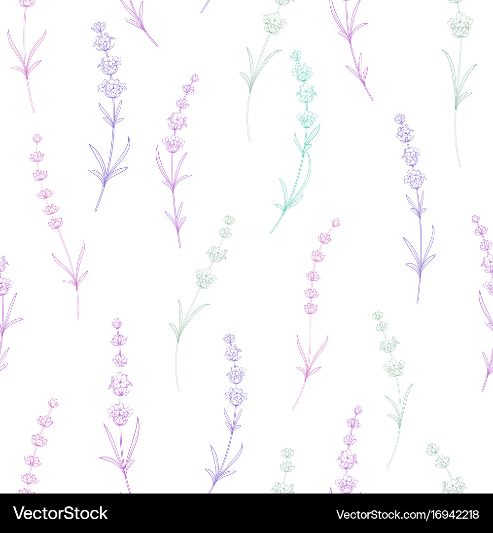 Seamless pattern of lavender flowers Royalty Free Vector