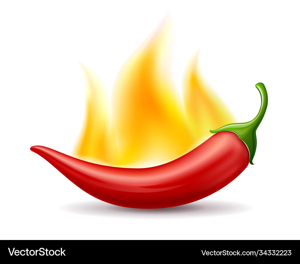 Chili peppers red fire design isolated on white Vector Image