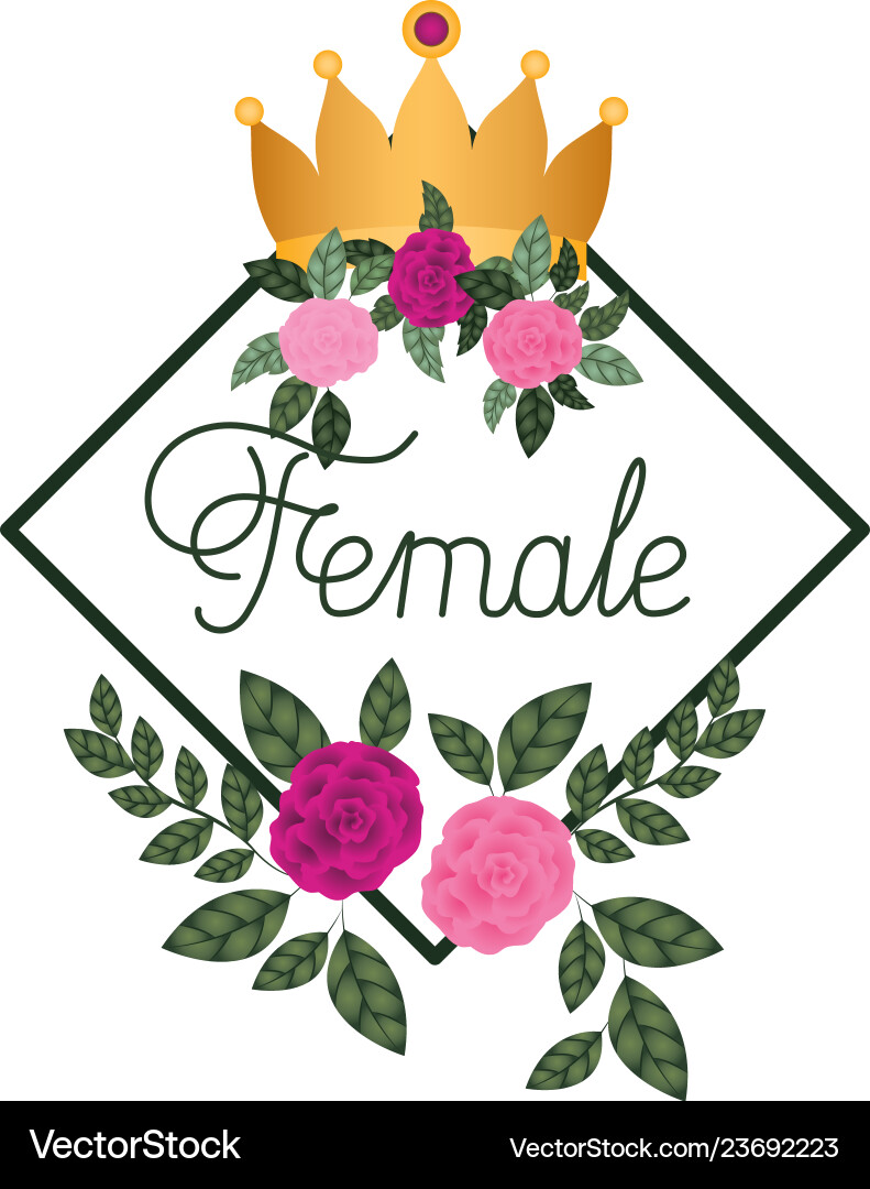 Female label with roses frame icons Royalty Free Vector