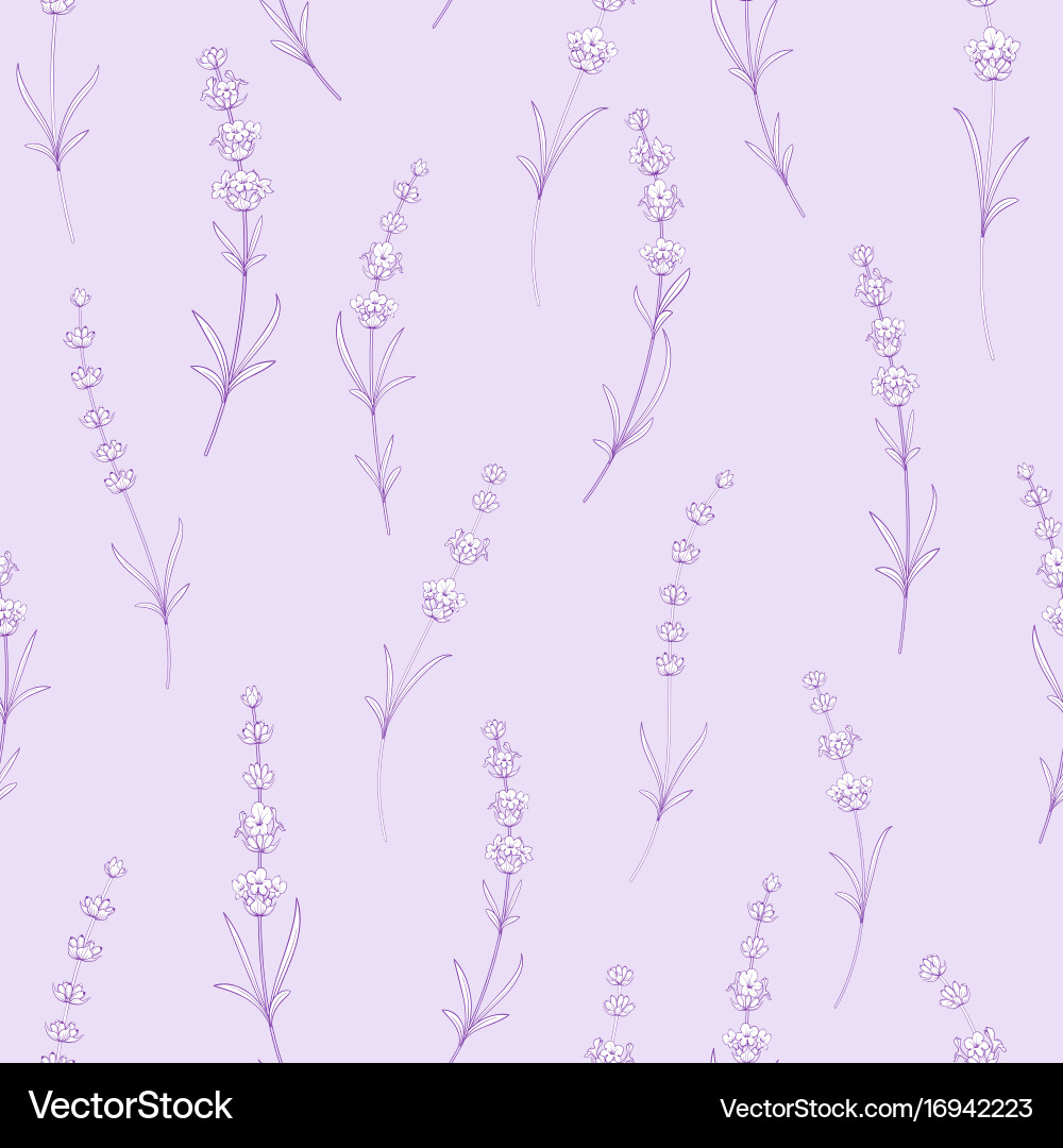 Seamless pattern of lavender flowers Royalty Free Vector