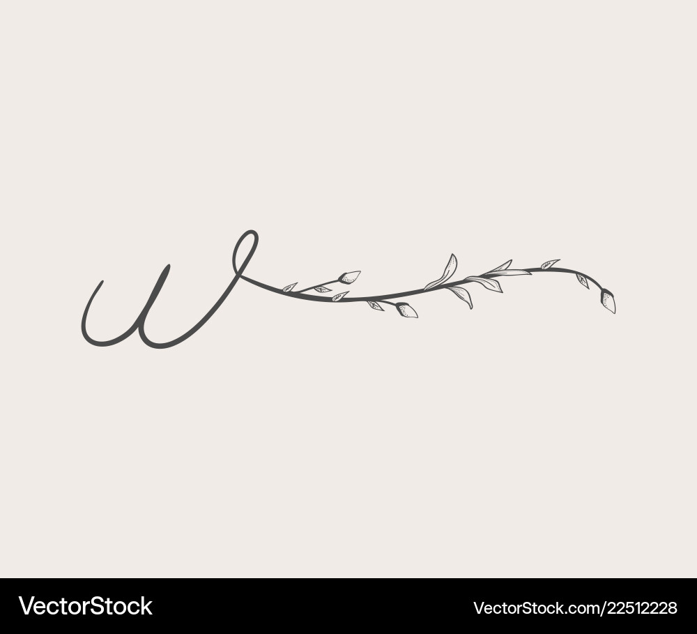 Hand drawn floral w monogram and logo Royalty Free Vector