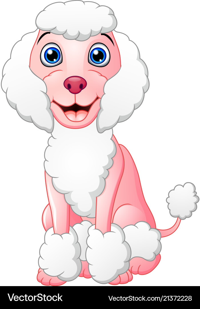 Happy poodle cartoon sitting Royalty Free Vector Image