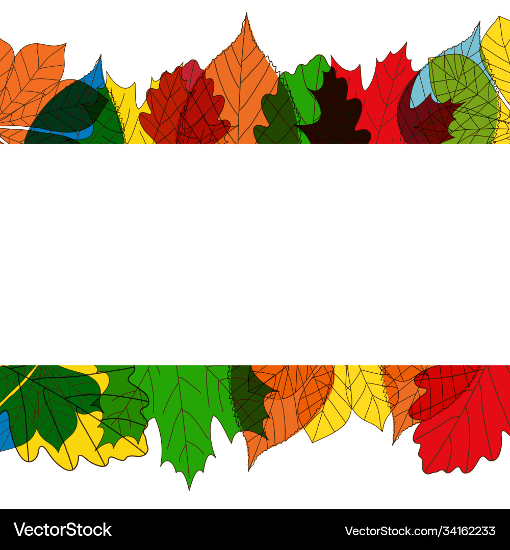 Autumn background template with leaves special Vector Image
