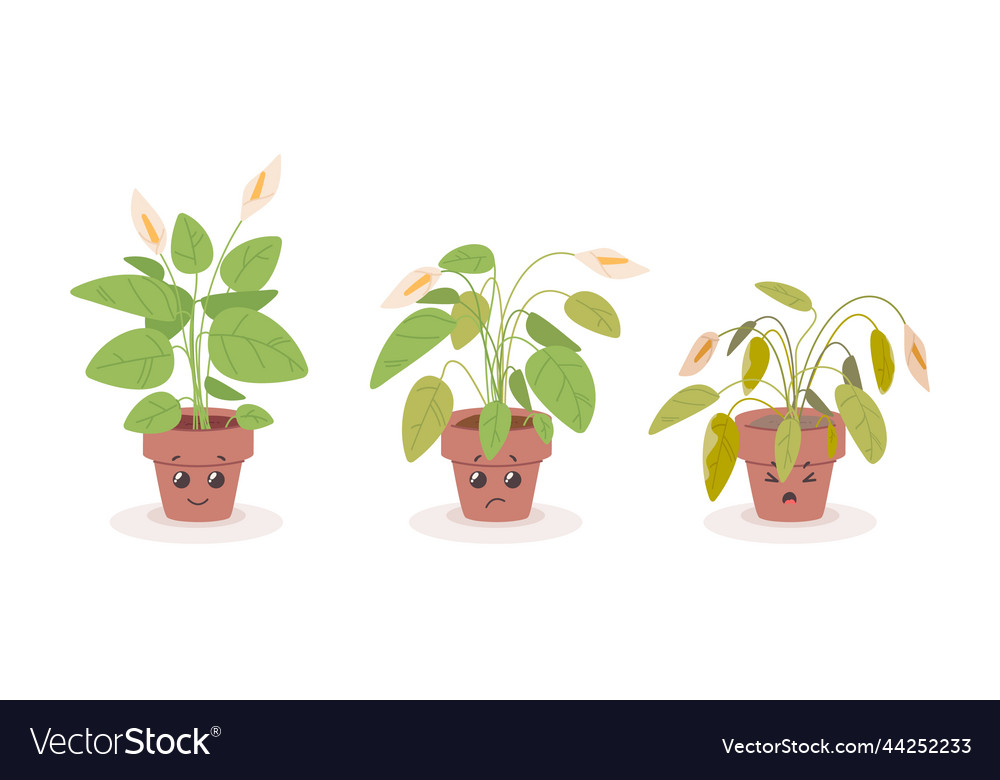 Cartoon fading houseplant dying cute flower Vector Image Cartoon fading houseplant dying cute flower Vector Image