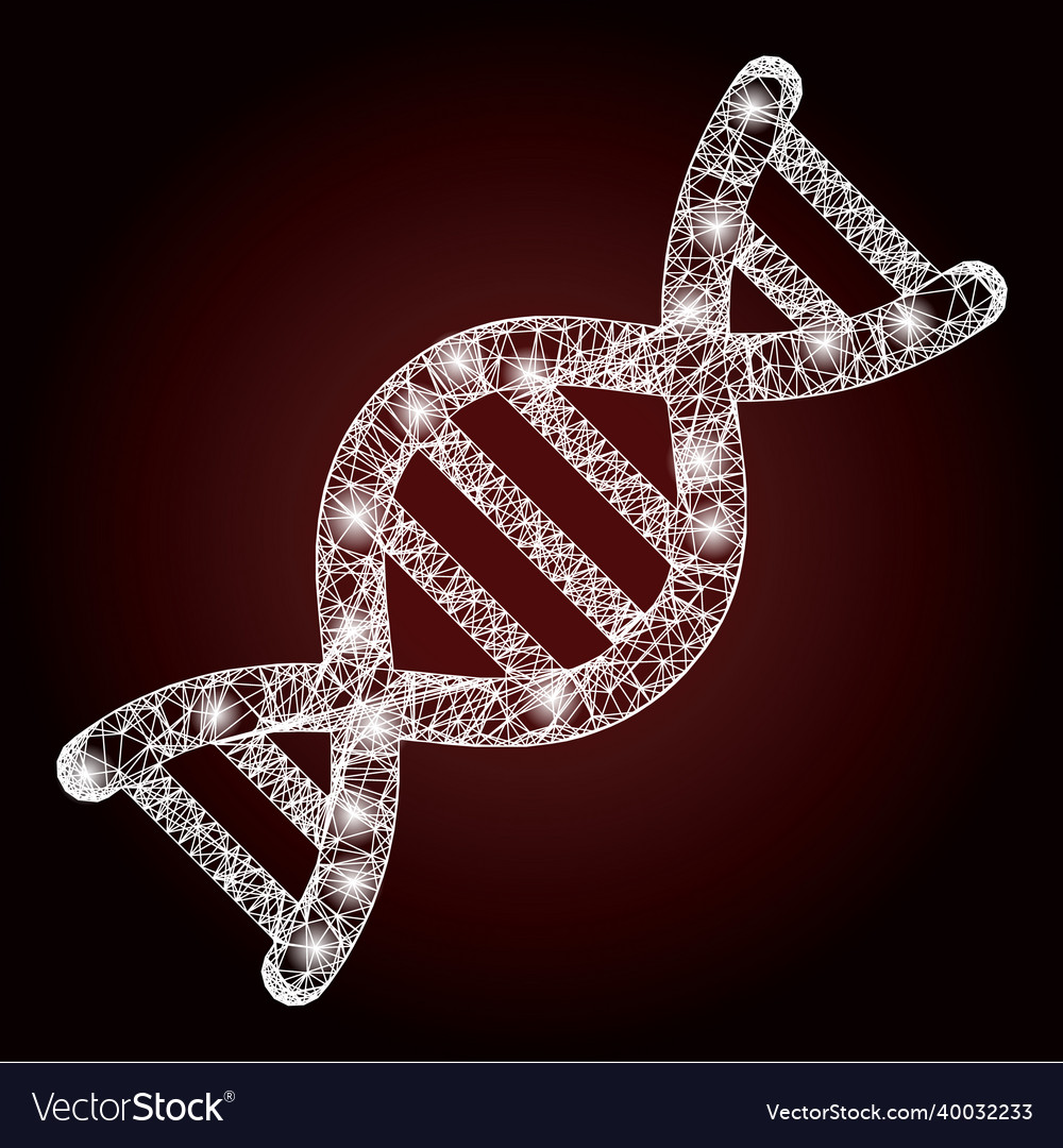 Flare network mesh genome molecule with light Vector Image Flare network mesh genome molecule with light Vector Image