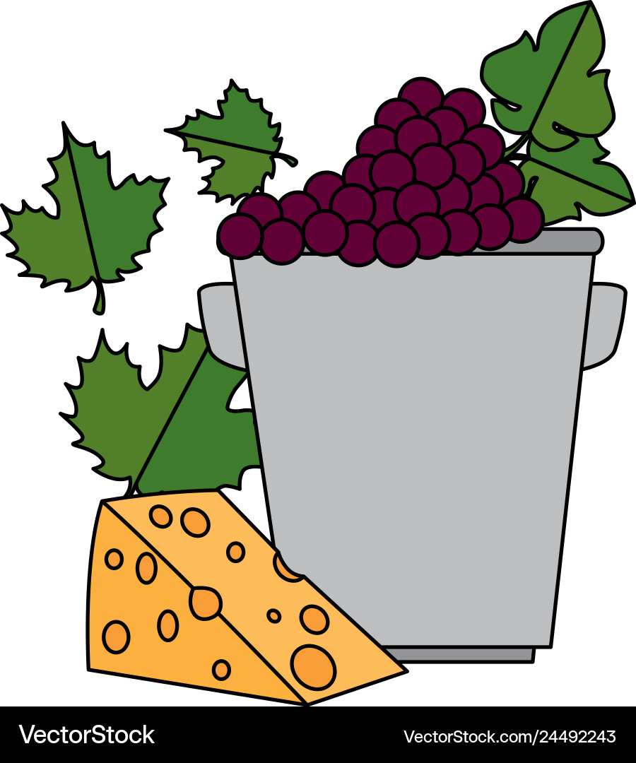 Bucket with grapes cluster and cheese Royalty Free Vector