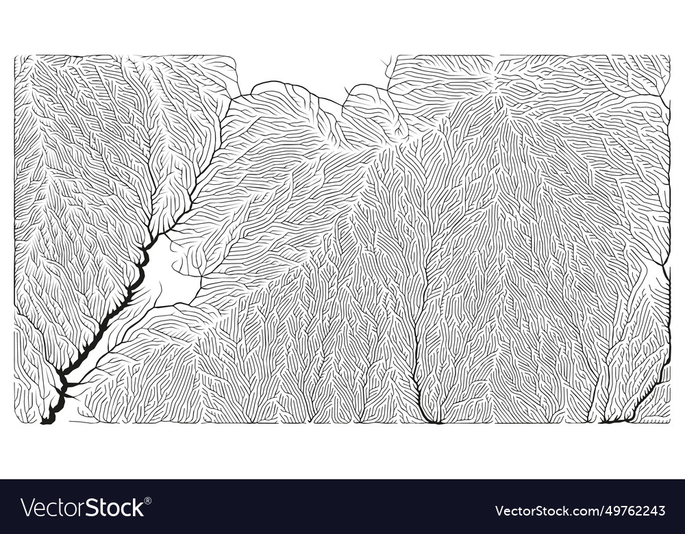 Growth Pattern Generative Branching Structure Vector Image