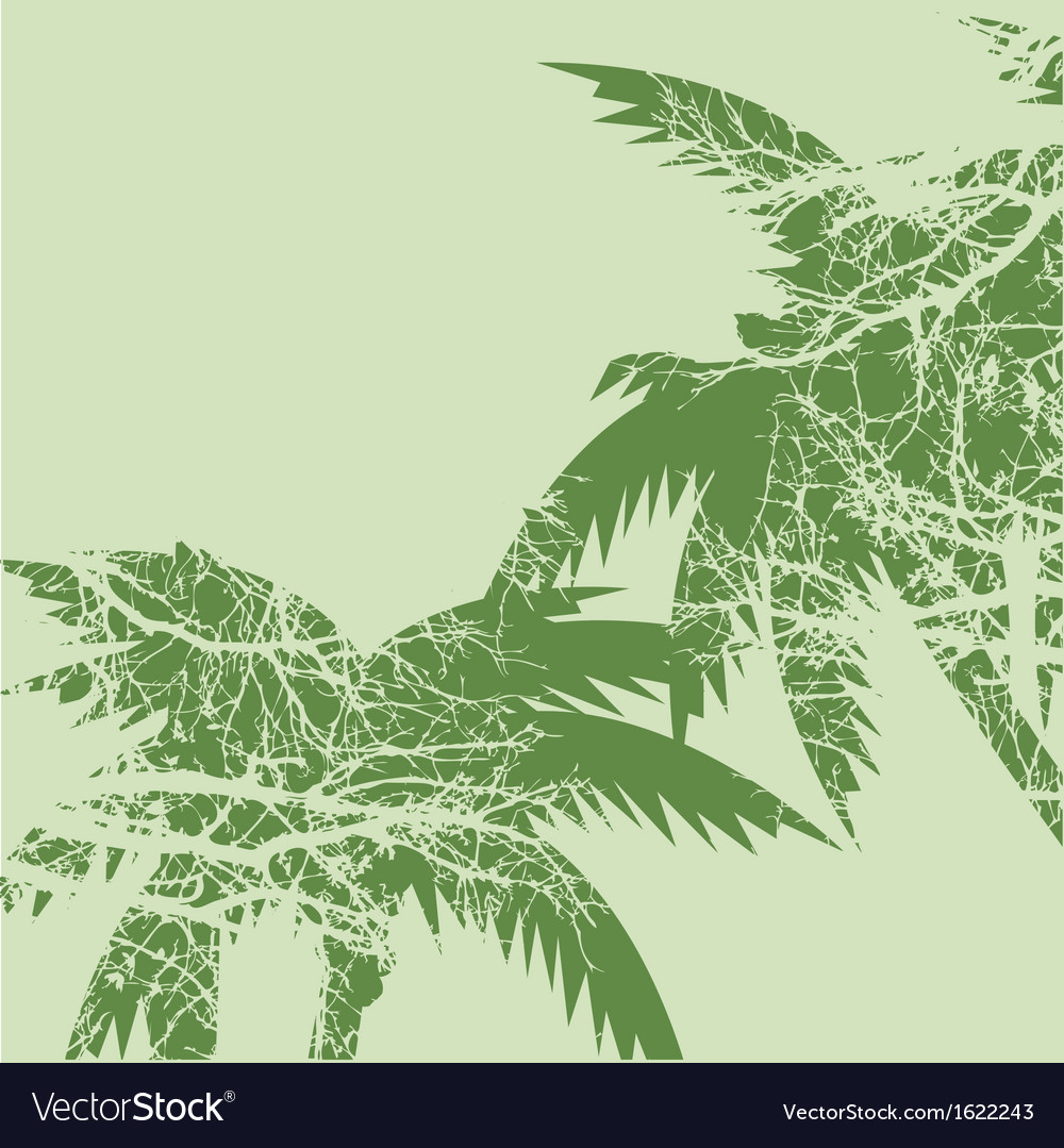 Palms Royalty Free Vector Image - VectorStock