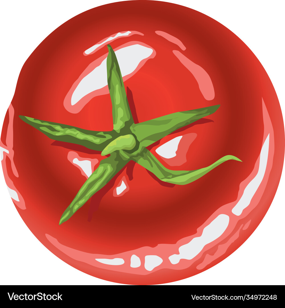 Fresh tomato vegetable healthy icon Royalty Free Vector
