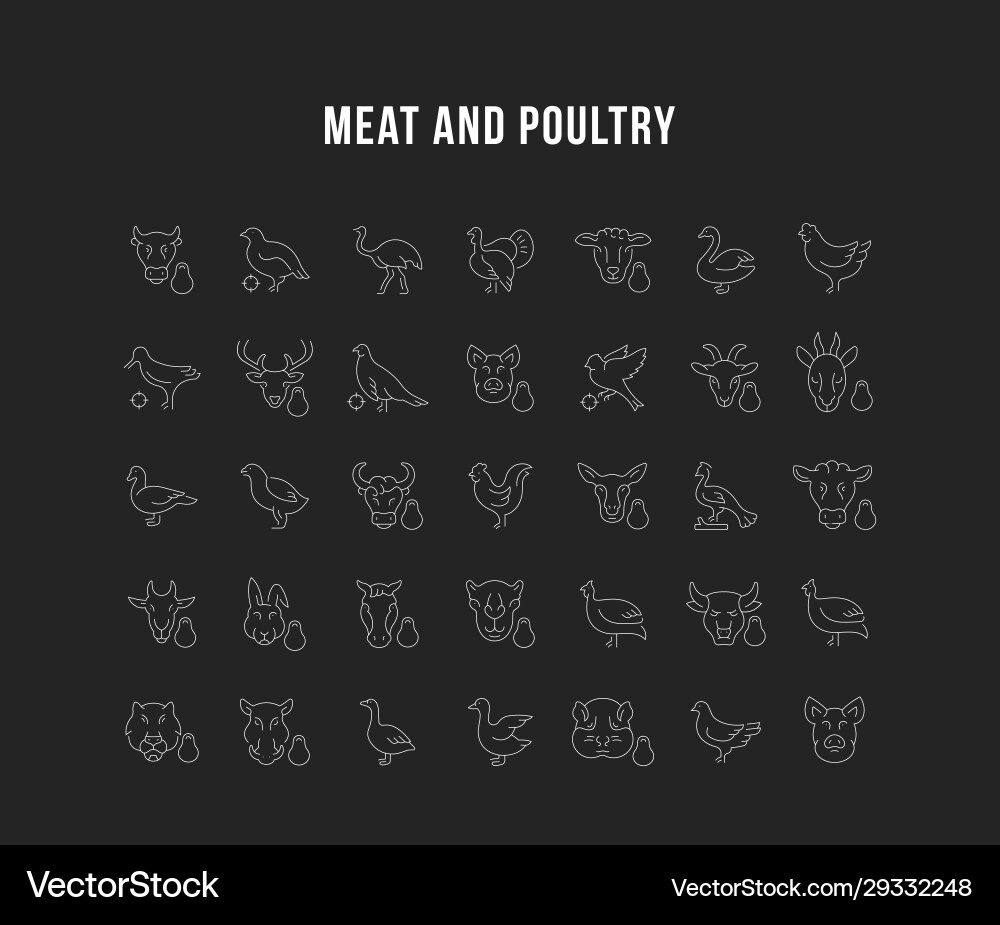 Set line icons meat and poultry Royalty Free Vector Image