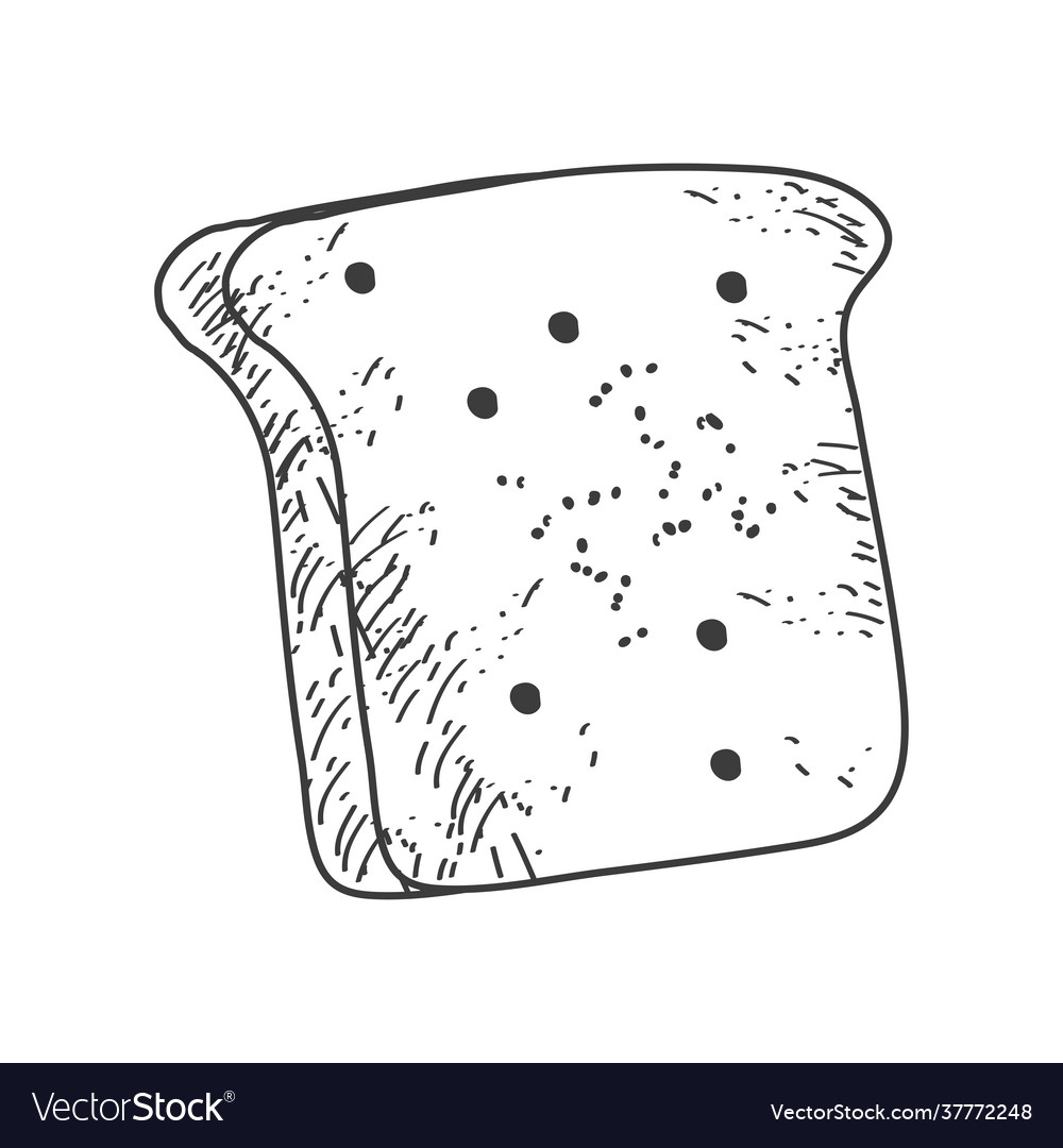 Slice bread sketch Royalty Free Vector Image - VectorStock