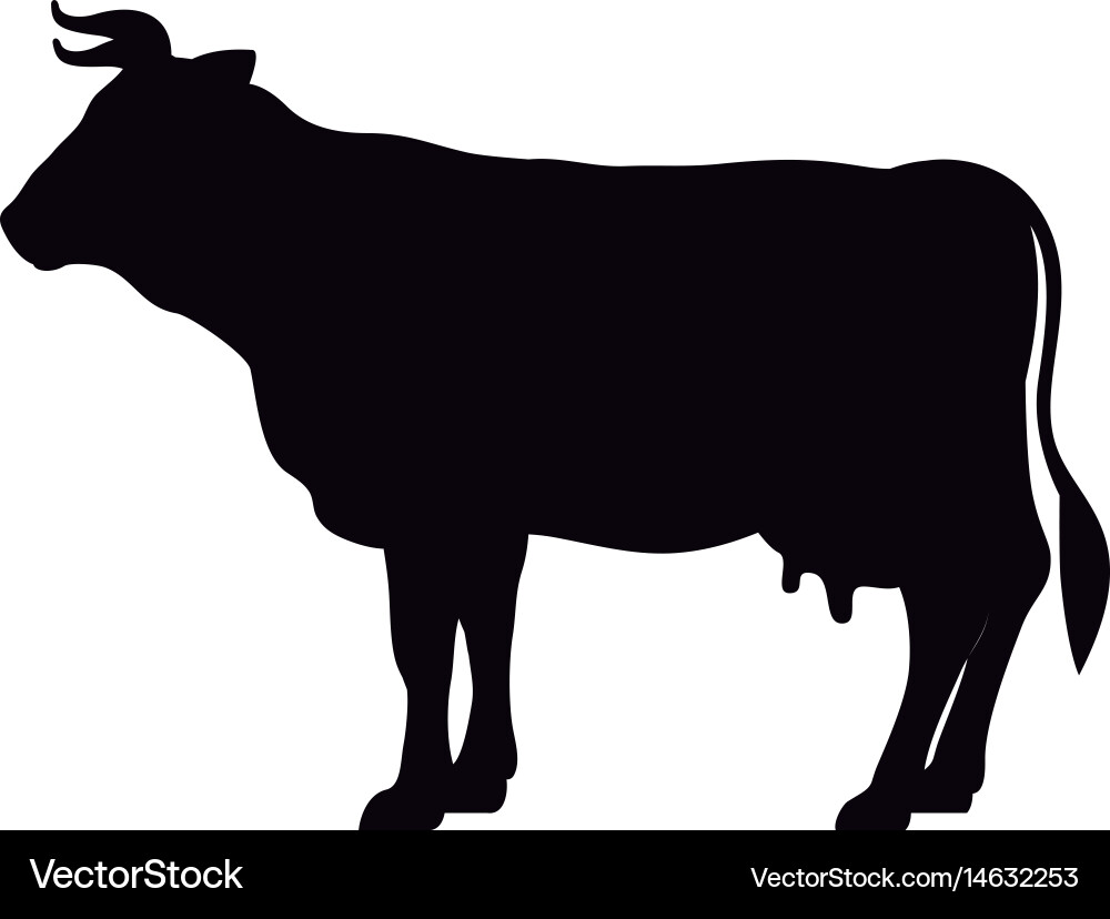 Cow livestock animal design Royalty Free Vector Image