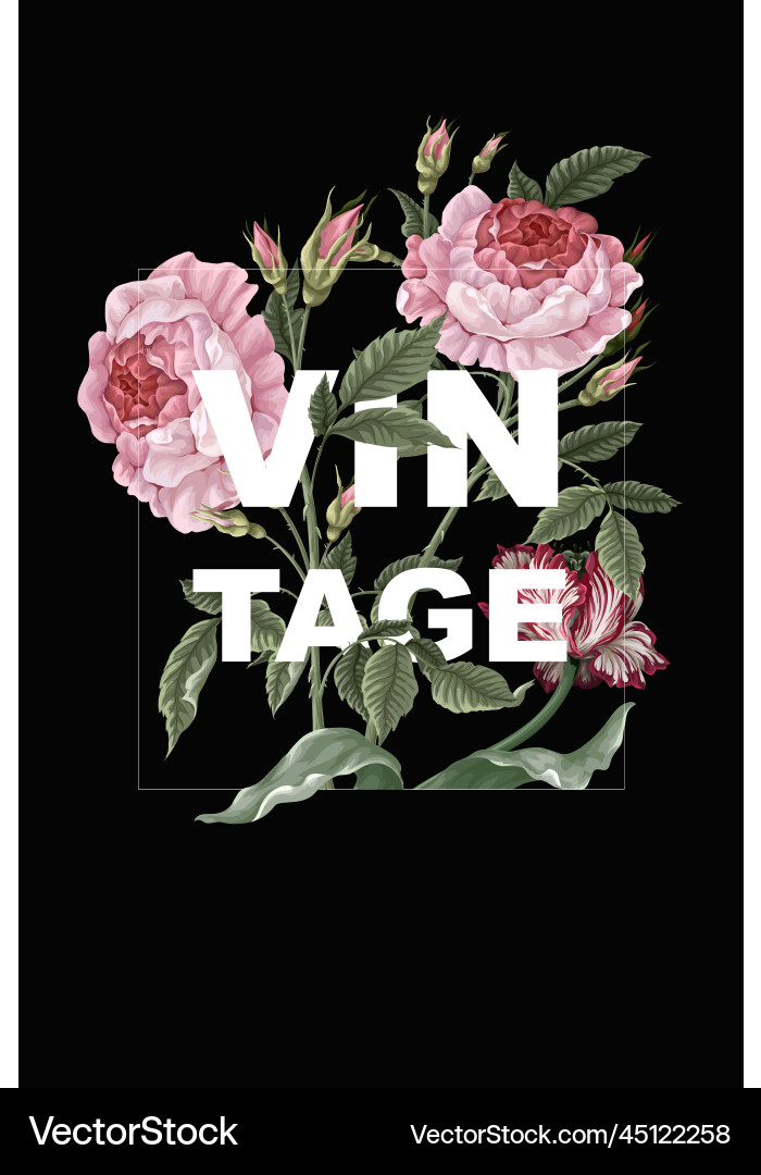 Invitation card with pink roses Royalty Free Vector Image