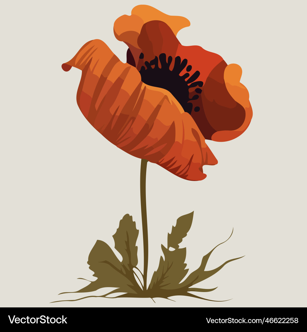 One red poppy flower Royalty Free Vector Image