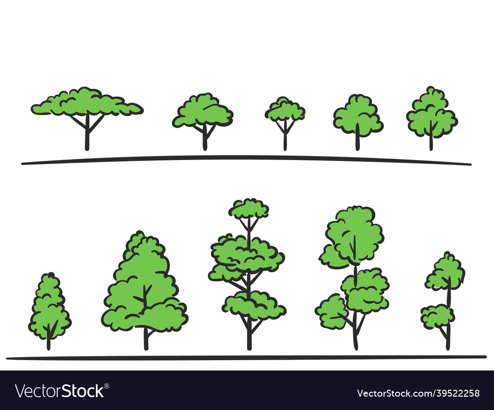 Tree Royalty Free Vector Image - VectorStock