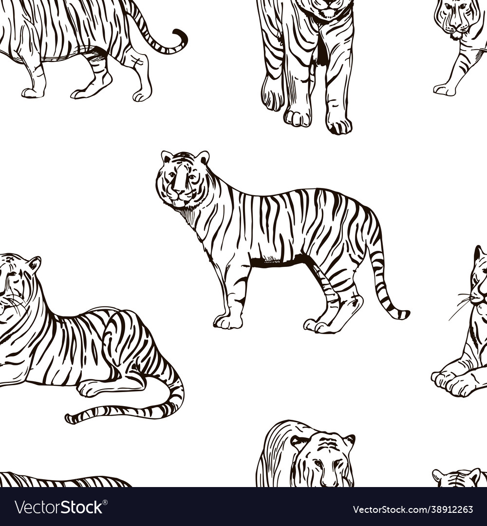 Tiger pattern Royalty Free Vector Image - VectorStock