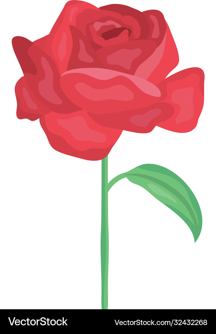 Red rose icon detailed style Royalty Free Vector Image