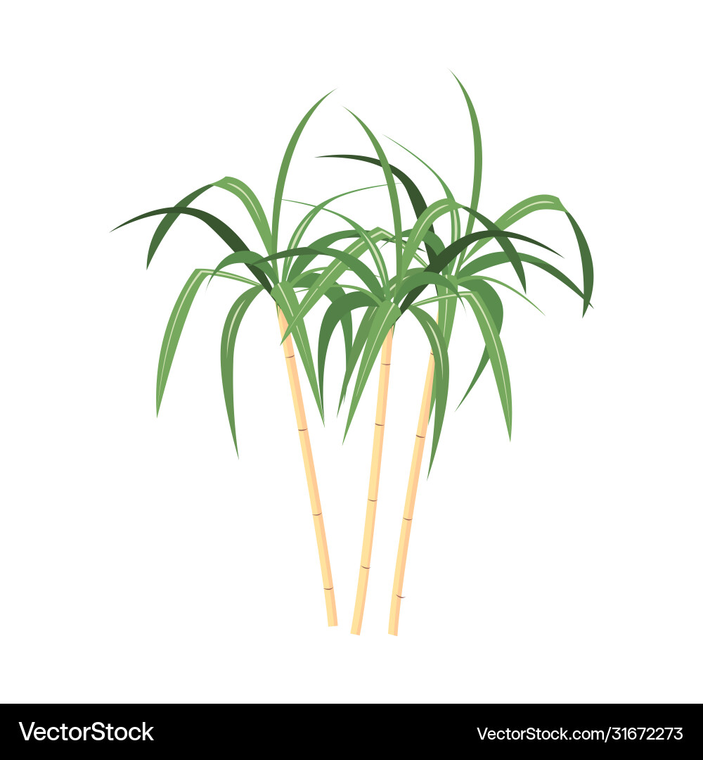 Palm and cane sign graphic Royalty Free Vector Image