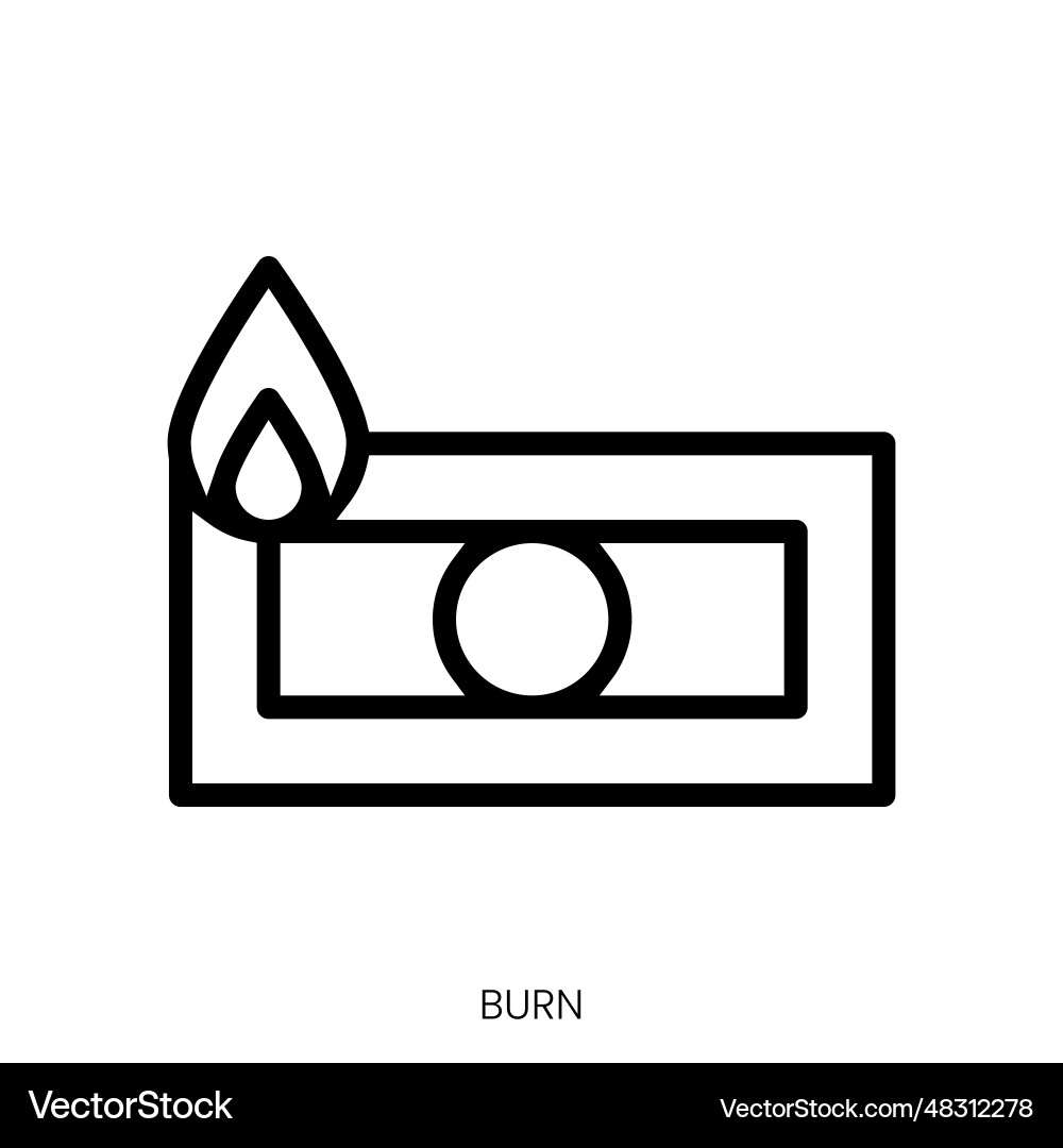 Burn icon line art style design isolated on white Vector Image