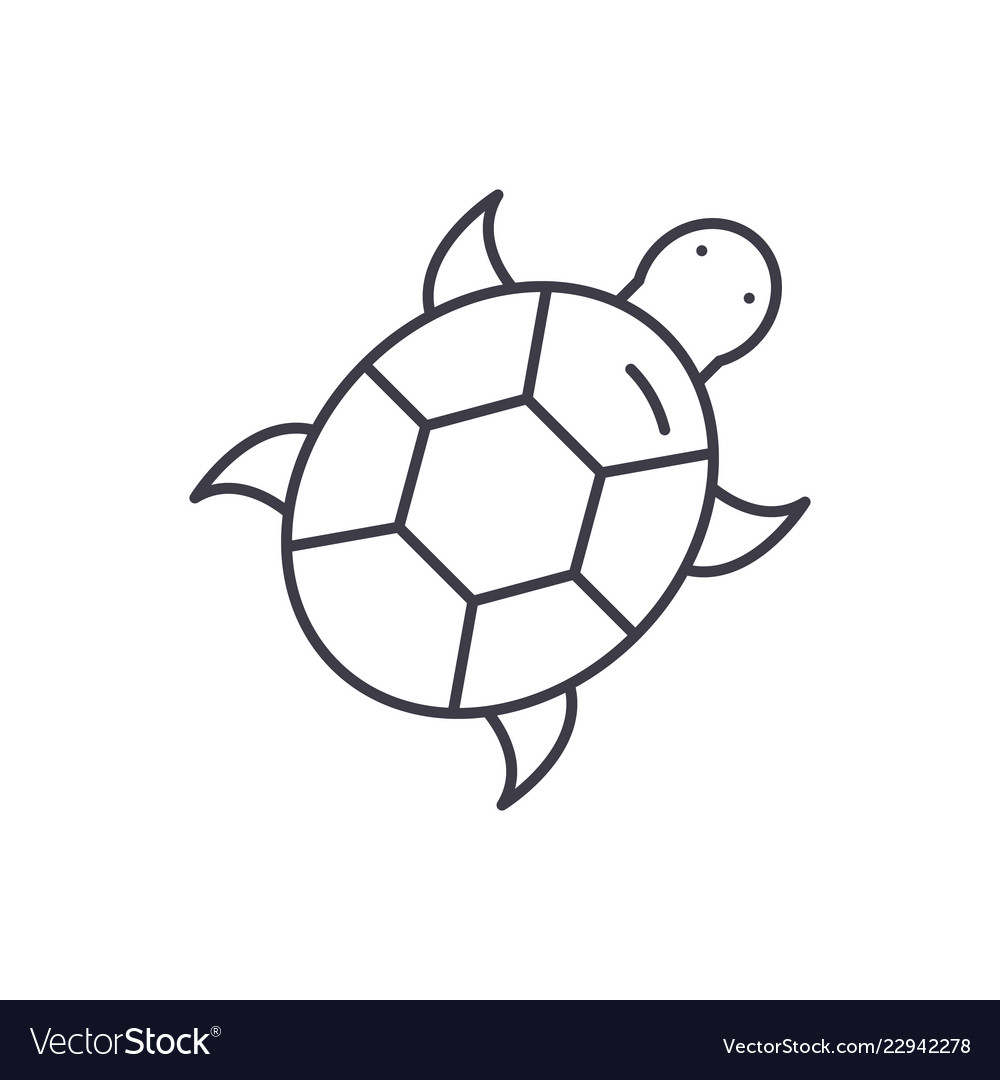 Turtle line icon concept linear Royalty Free Vector Image