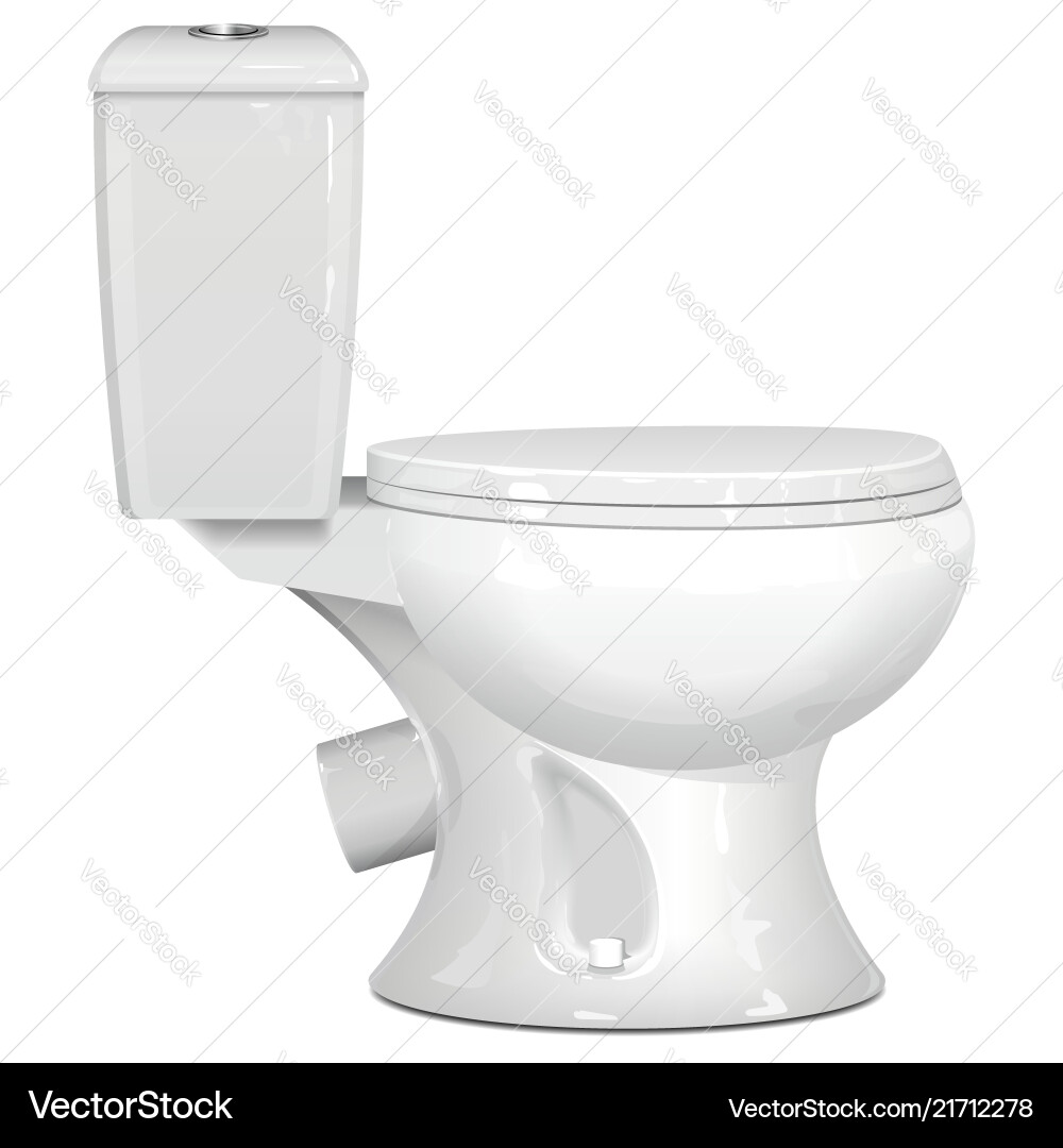 White toilet bowl Royalty Free Vector Image - VectorStock