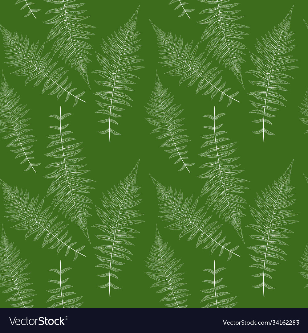 Fern leaf leaf seamless pattern background Vector Image