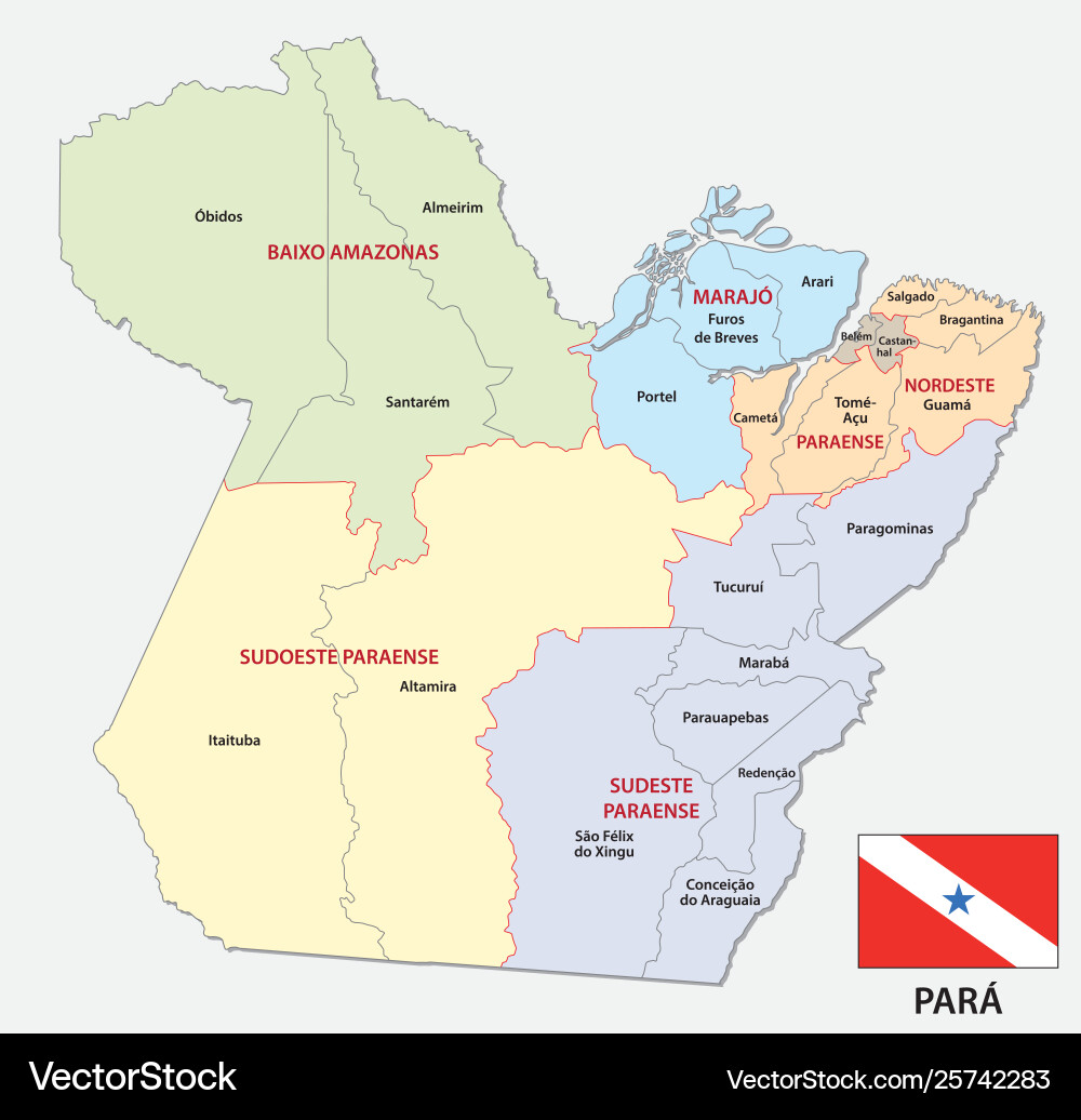 Para administrative and political map with flag Vector Image