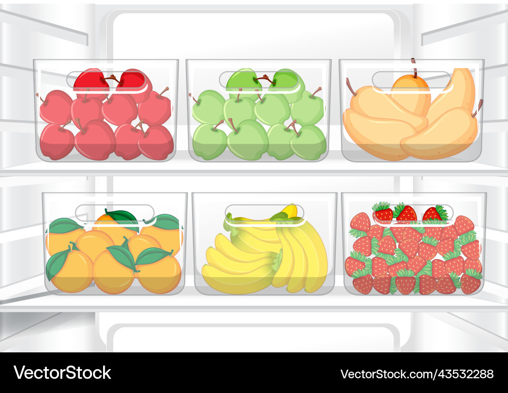 Inside of refrigerator with foods Royalty Free Vector Image