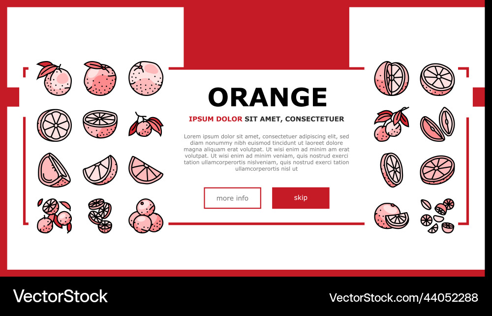 Orange citrus fresh slice juice landing header Vector Image