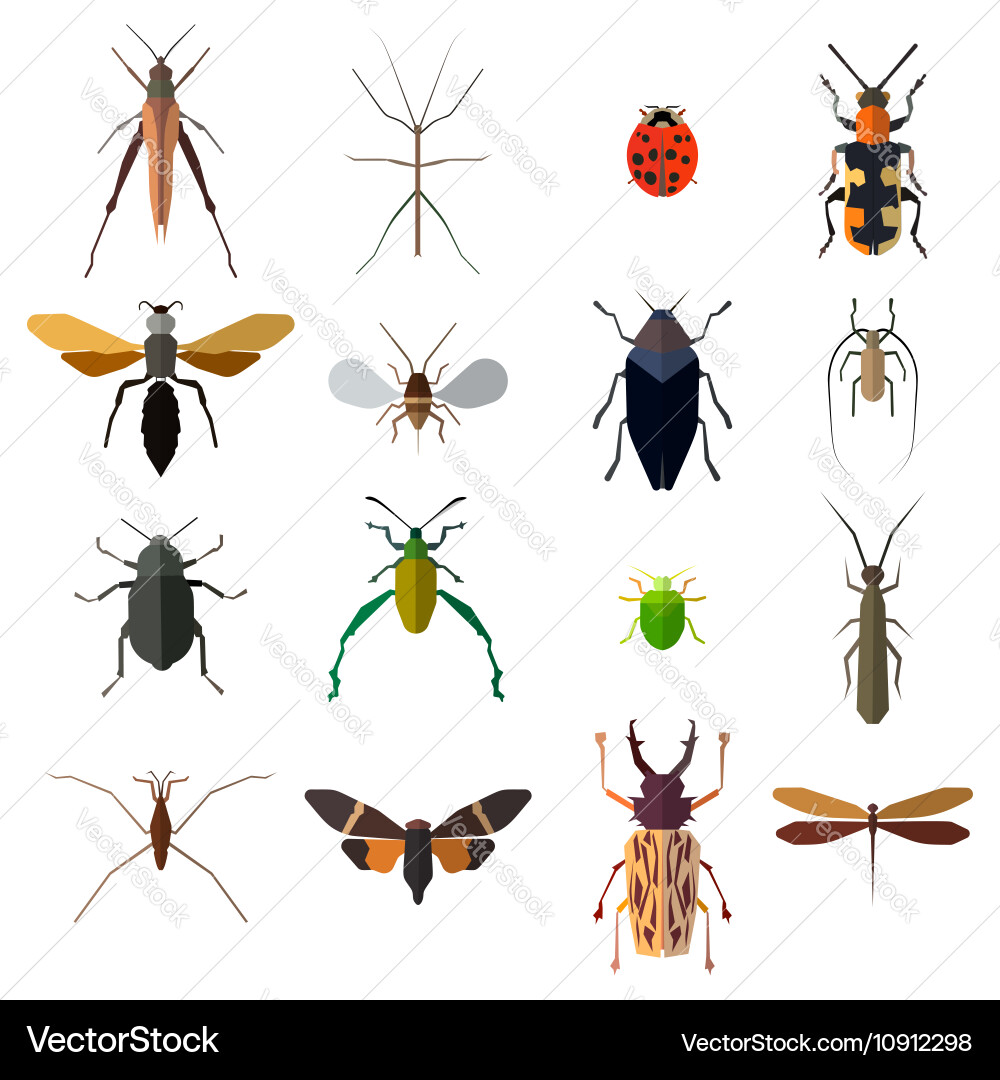 Insect icons set isolated on white Royalty Free Vector Image