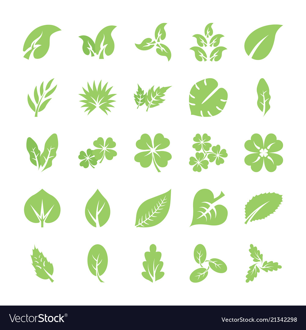 Leaf flat icon set Royalty Free Vector Image - VectorStock