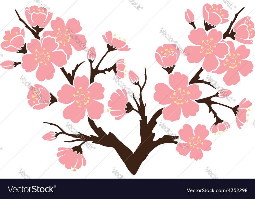 Sakura Royalty Free Vector Image - VectorStock