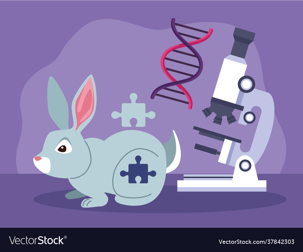 Genetic testing rabbit Royalty Free Vector Image