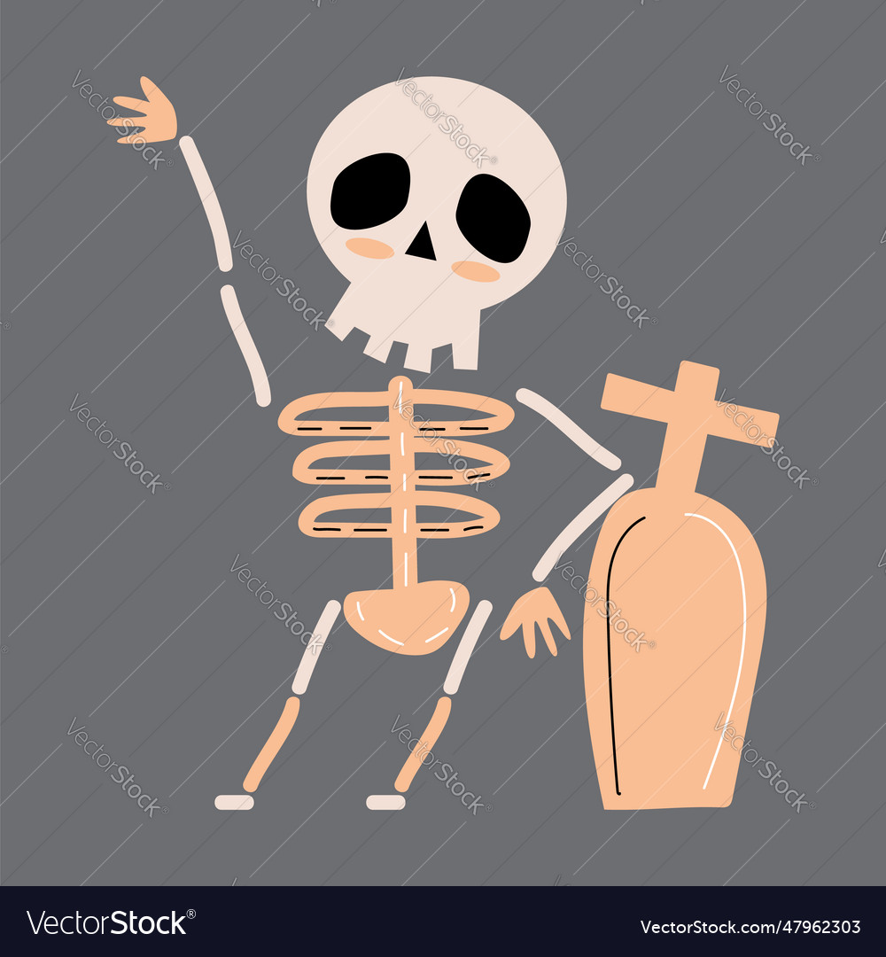 Skeleton ghost halloween cartoon characters Vector Image