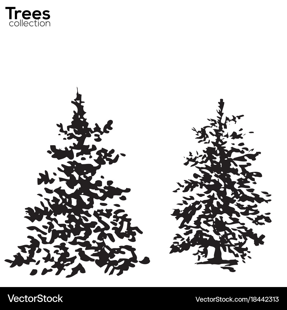Trees collection ink fir silhouettes Royalty Free Vector