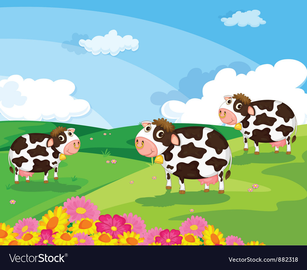 Three cows Royalty Free Vector Image - VectorStock