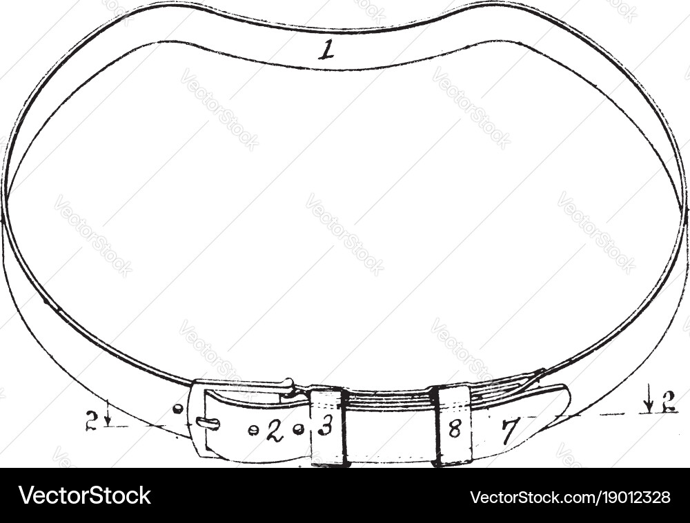 Apparel belt vintage engraving Royalty Free Vector Image