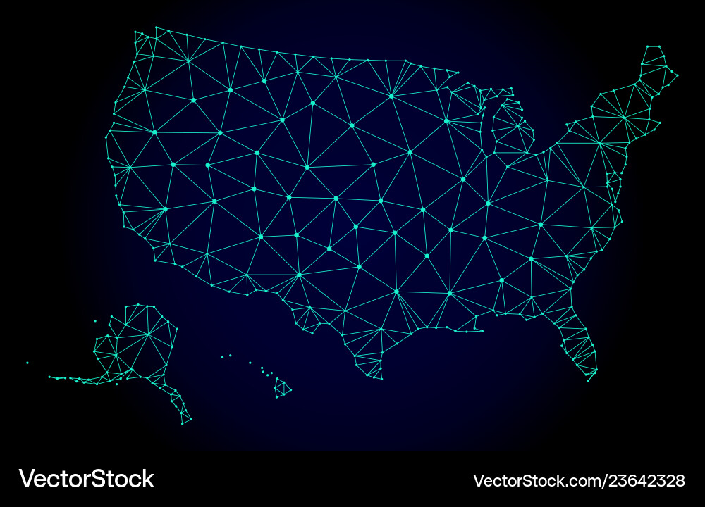 Polygonal carcass mesh map of usa Royalty Free Vector Image