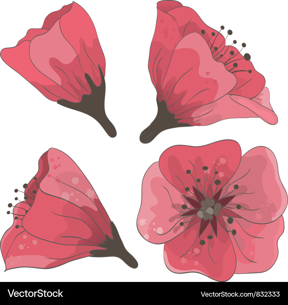 Set of hand drawn flowers Royalty Free Vector Image