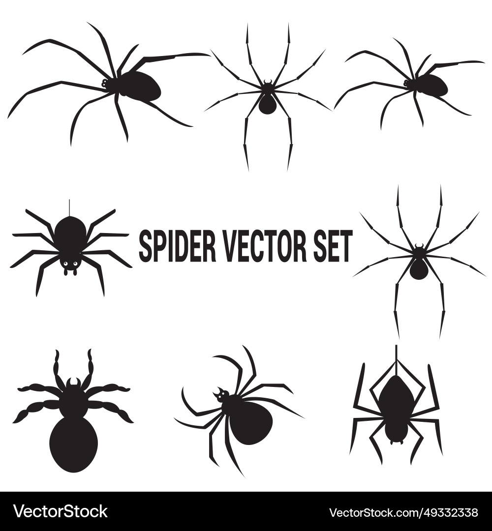 Halloween of spider Royalty Free Vector Image - VectorStock