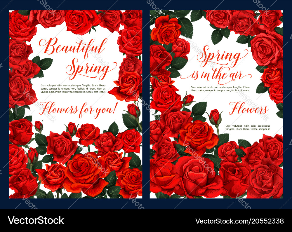 Spring floral poster with red rose flower frame Vector Image