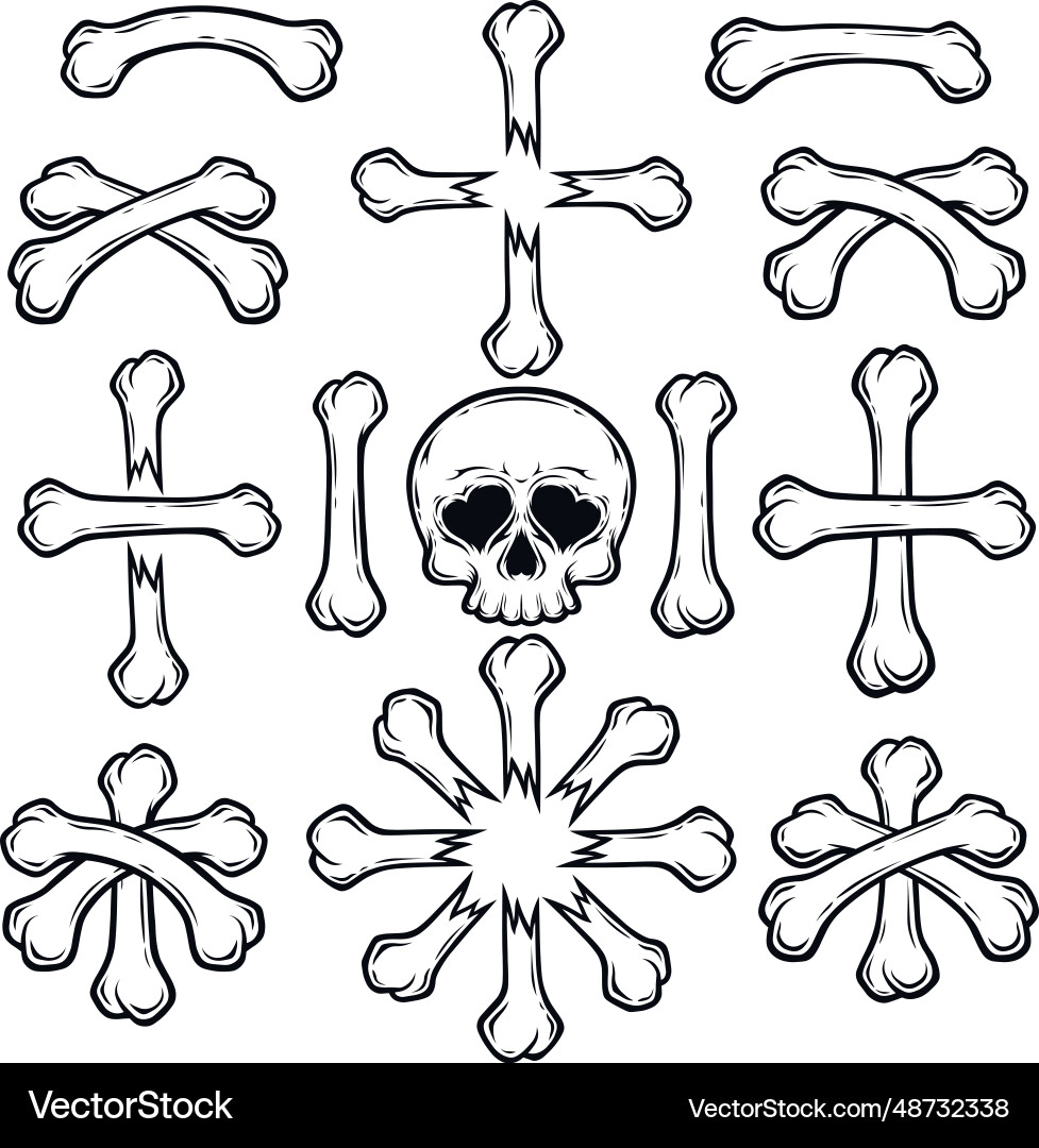Stylized set of skeleton bones and skull Vector Image