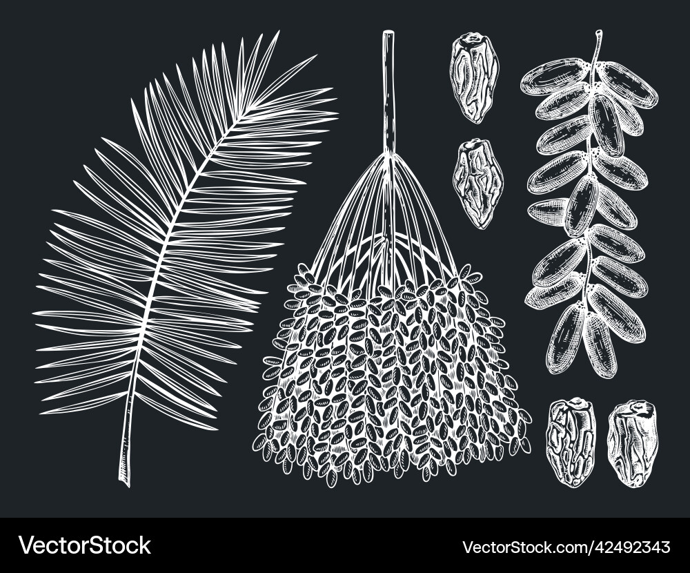 Hand-sketched date on chalkboard hand drawn leave Vector Image