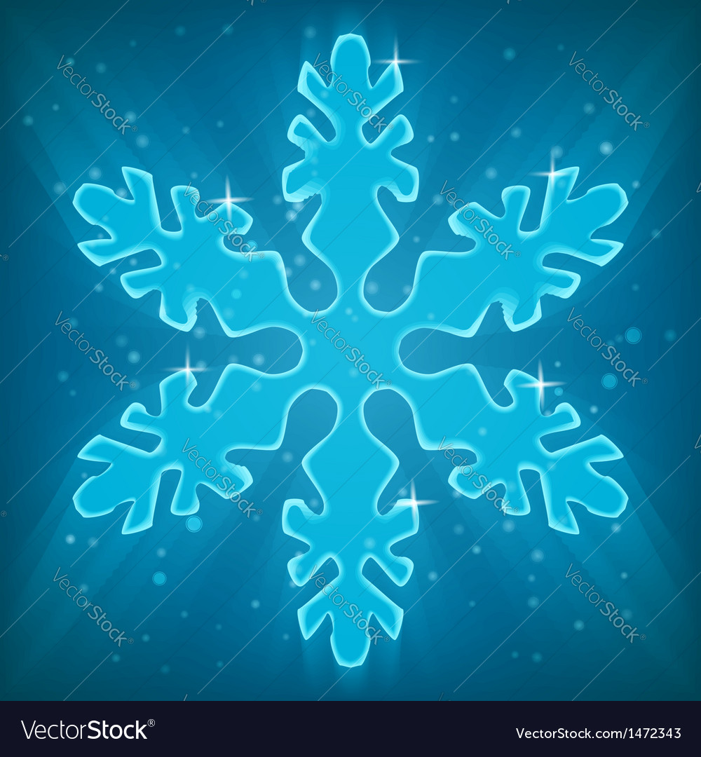 Shiny snowflake Royalty Free Vector Image - VectorStock